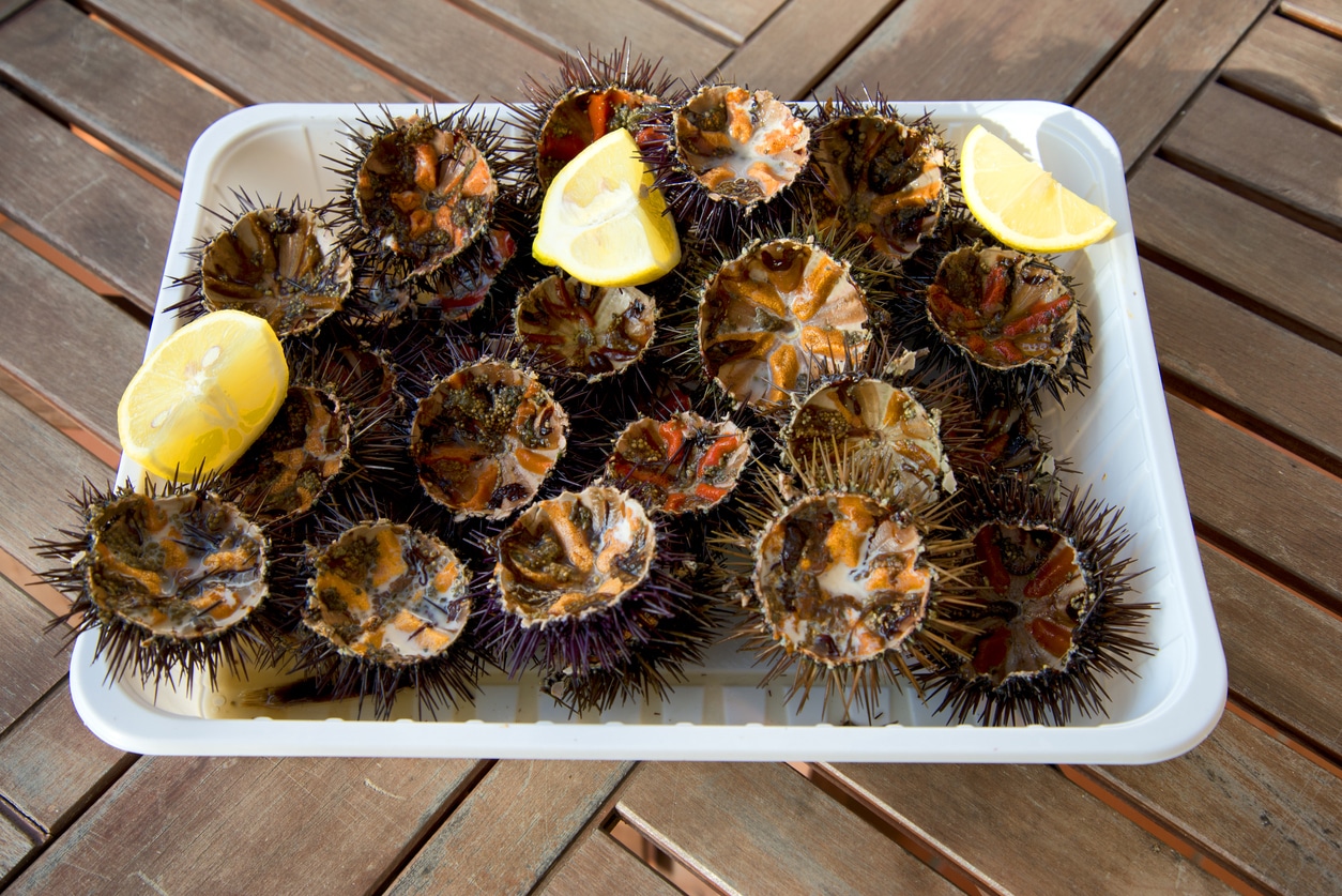 Sardiniens Westküste für Entdecker und Genießer - Freiheit frei Haus