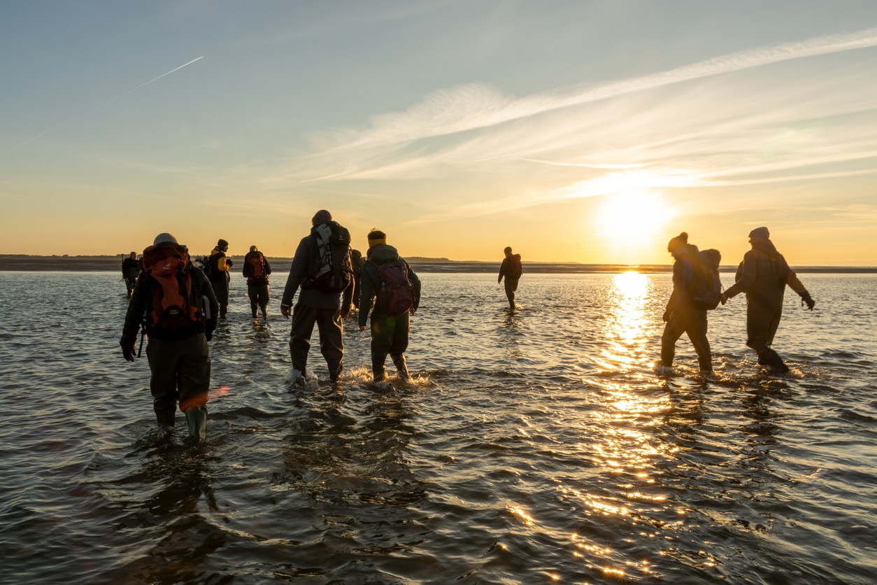 Wattwandern in der Nordsee
