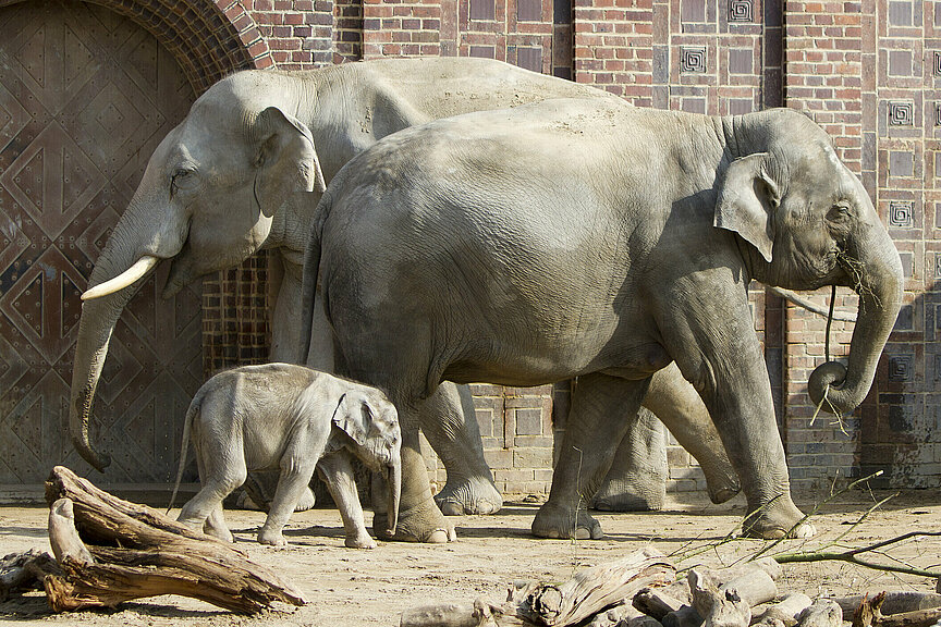 Die Top 10 Zoos in Deutschland