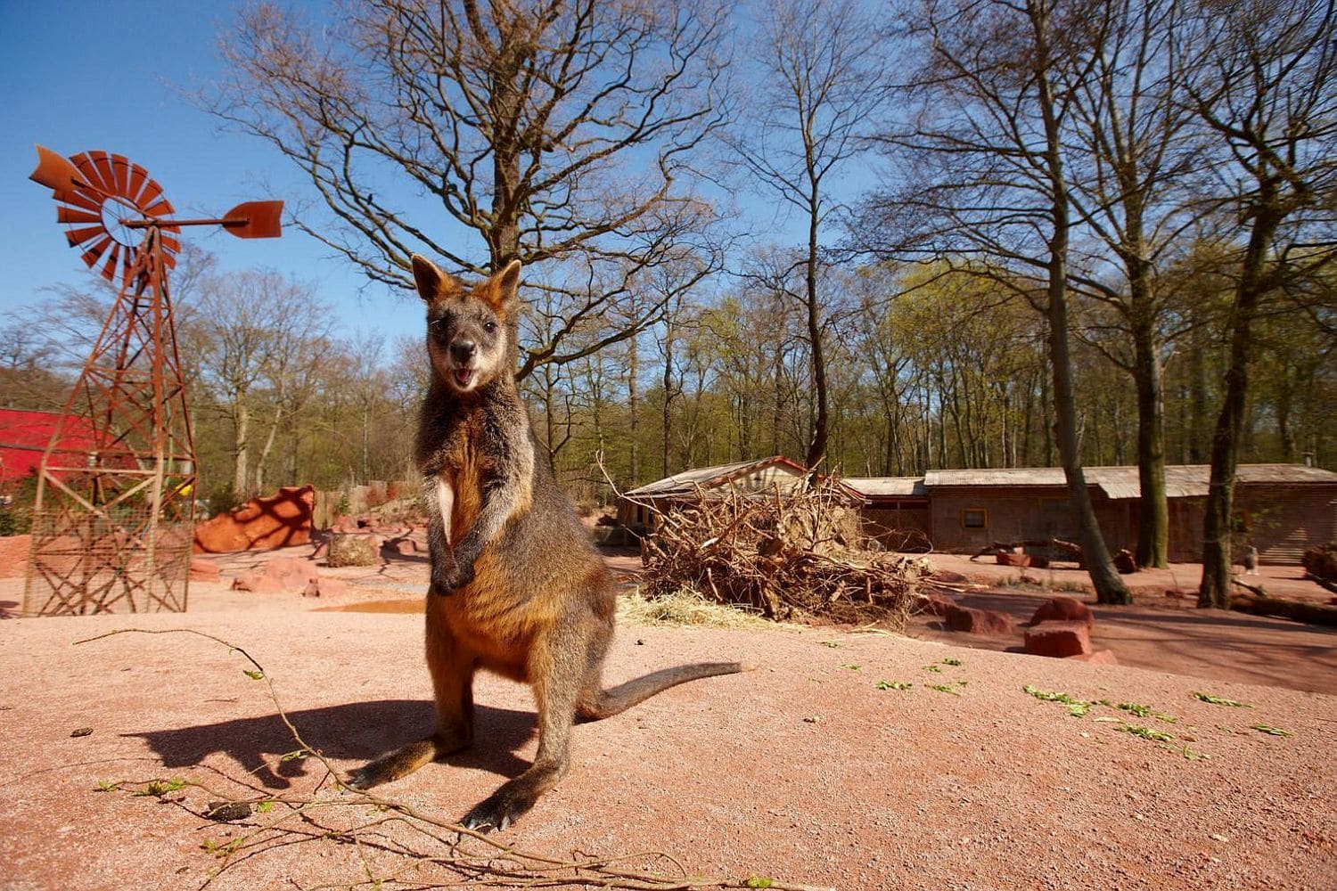 Die Top 10 Zoos in Deutschland